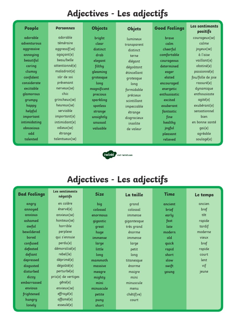 FR T L 4358 Adjective Adverb and Verb Mat Pack English French | PDF