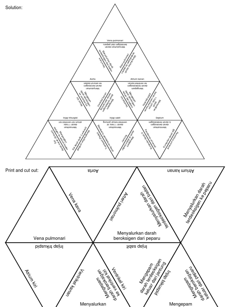 Tarsia SNT3B3 Jantung Darah PDF
