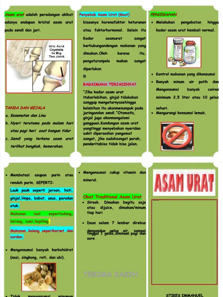 PDF Leaflet Asam Urat - Compress | PDF