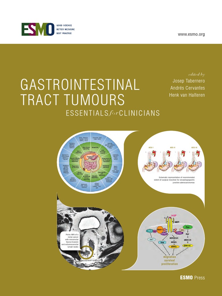 2016 ESMO Essentials For Clinicians Gastrointestinal Tract Tumours (001 ...