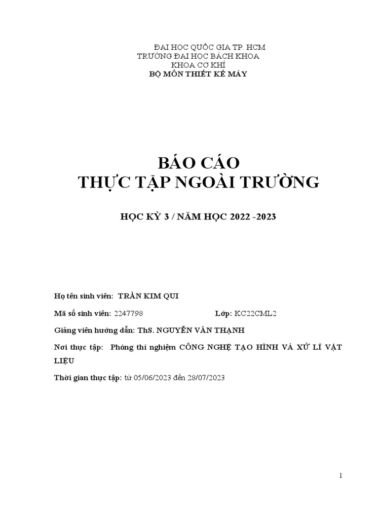 Mau Bao Cao TTNT | PDF