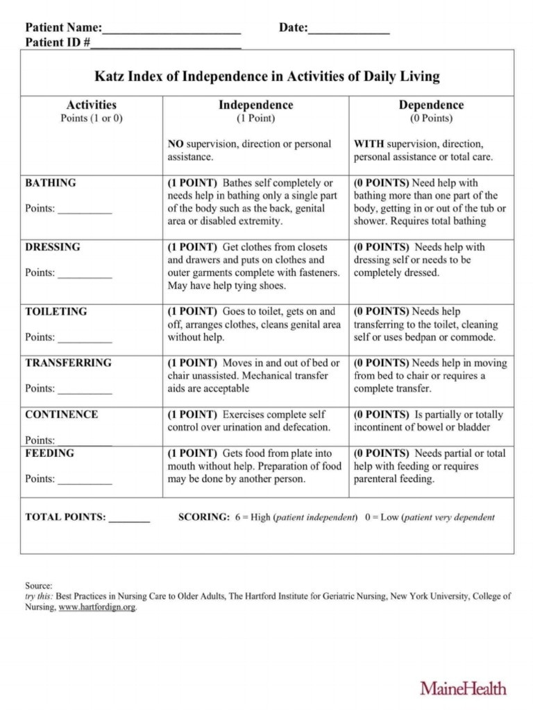 Geriatric Assessment Tools | PDF