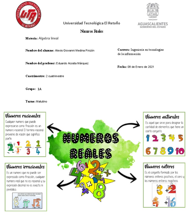 Mapa Mental Numeros Reales | PDF