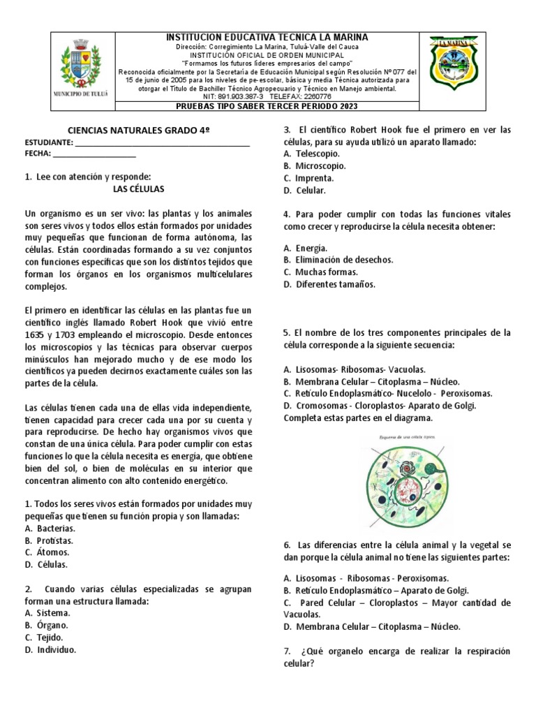 Evaluación de la Célula para Grado 4 | PDF | Biología Celular) | Citoplasma