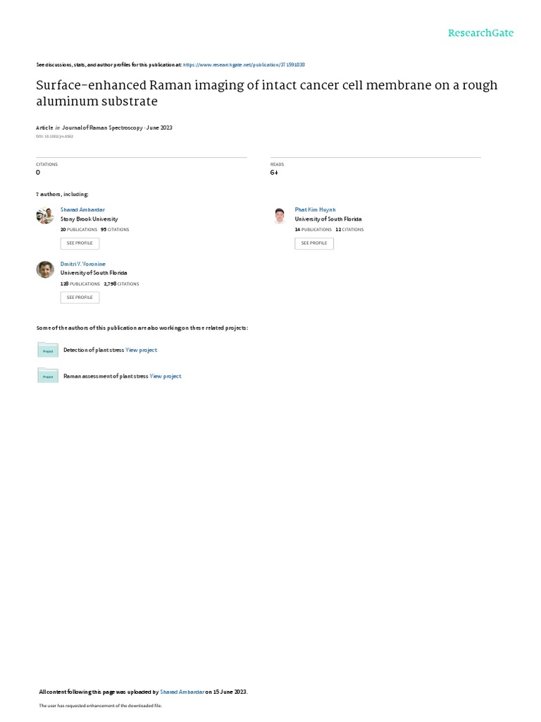Surface-Enhanced Raman Imaging of Intact Cancer Cell Membrane On A ...