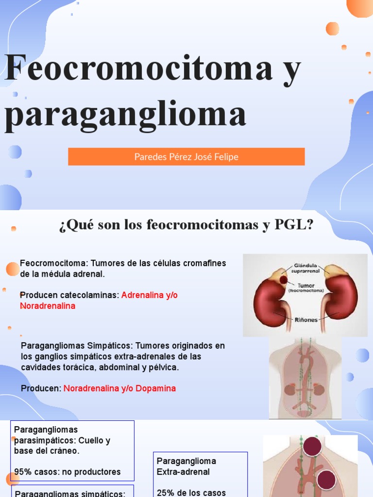 Feocromocitoma y PGL | PDF | Glándula suprarrenal | Glándulas