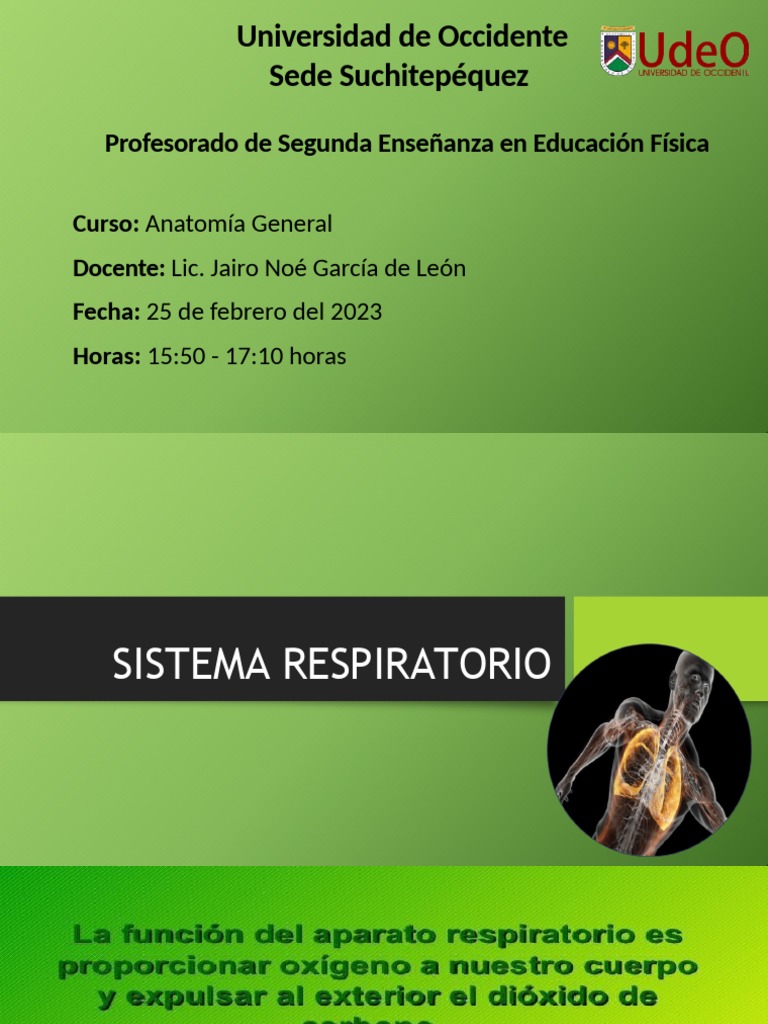 Tema 4. Anatomía General | PDF