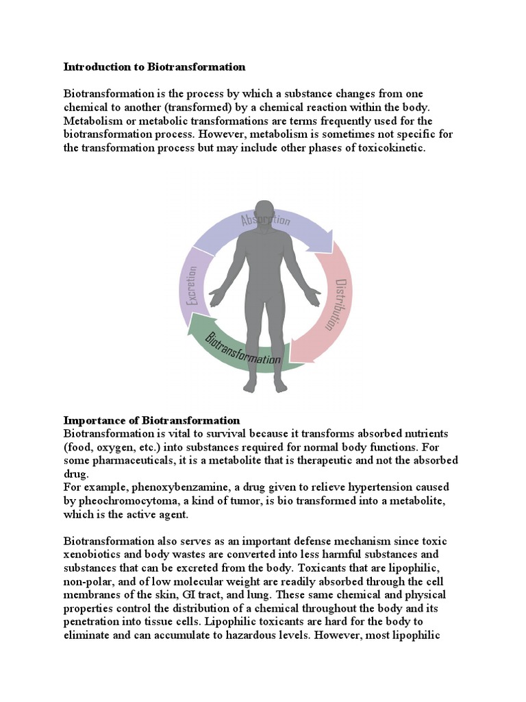 Biotransformation | PDF