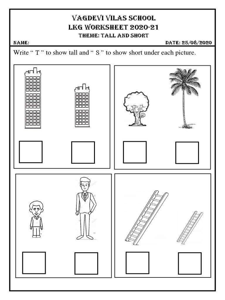 Tall And Short Worksheets