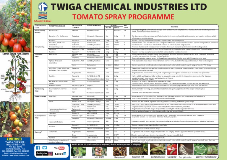 Tomato Spray Programm 1 | PDF | Pest (Organism) | Tomato