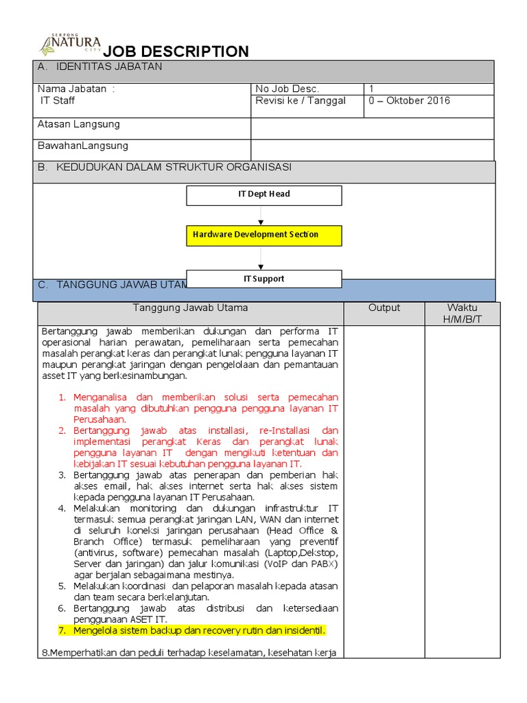 Form Job Description - IT Staff | PDF