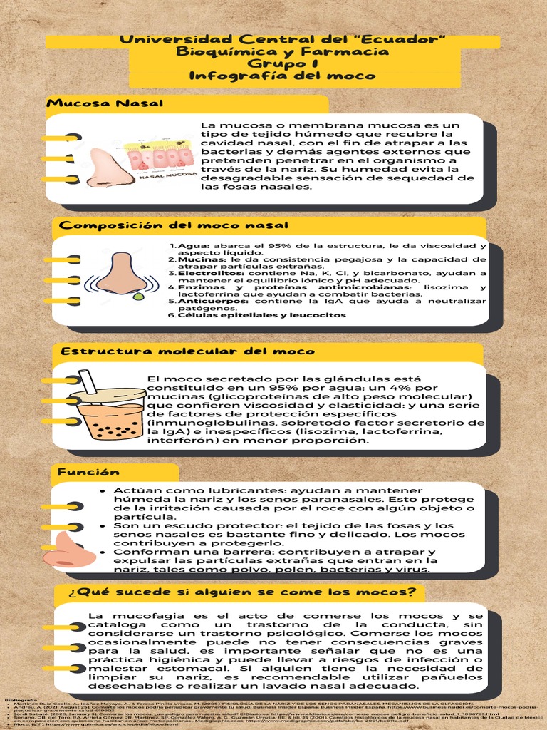 Dental Health Infographic | PDF | Moco | Anticuerpo