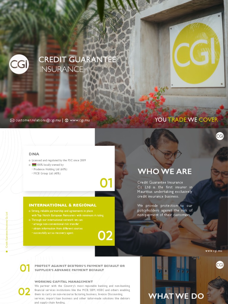 CGI PRESENTATION Brochure | PDF