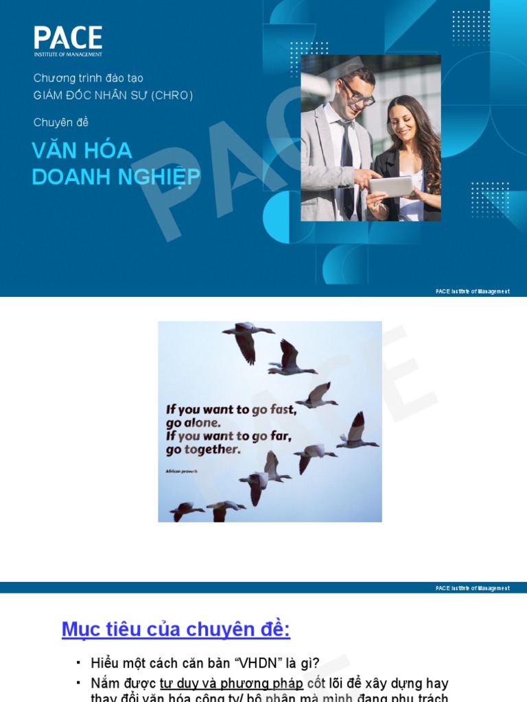 PACE Van Hoa Doanh Nghiep | PDF