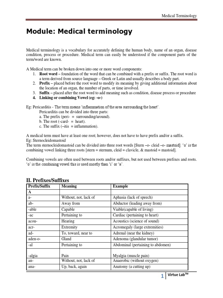 Medical Terminology | PDF | Anatomical Terms Of Location | Clinical ...