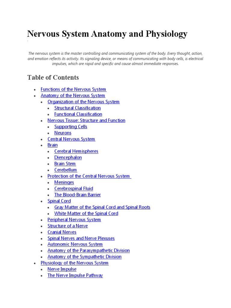 Nervous System Anatomy and Physiology | PDF