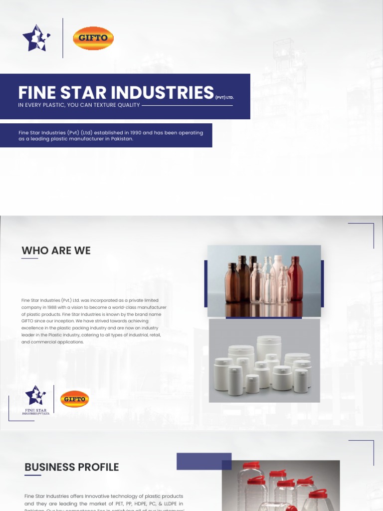 Business Profile | PDF