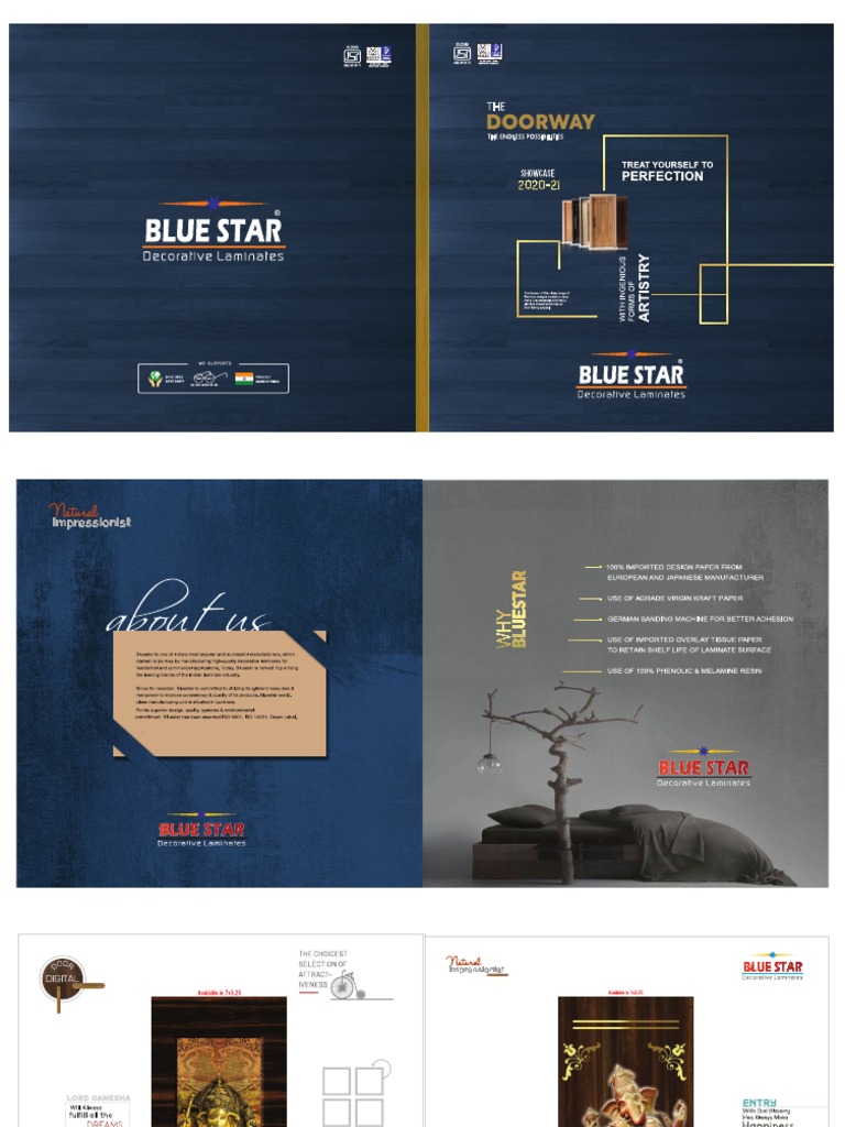 Bluestar Final | PDF