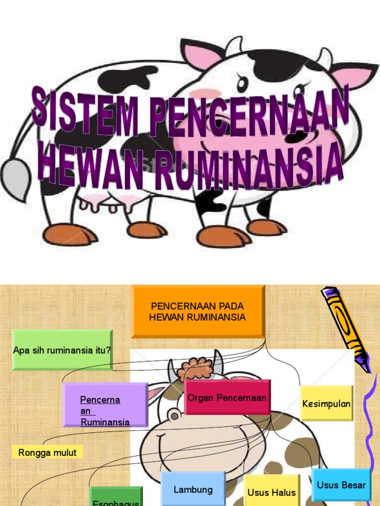 PPT Pencernaan Hewan Ruminansia | PDF