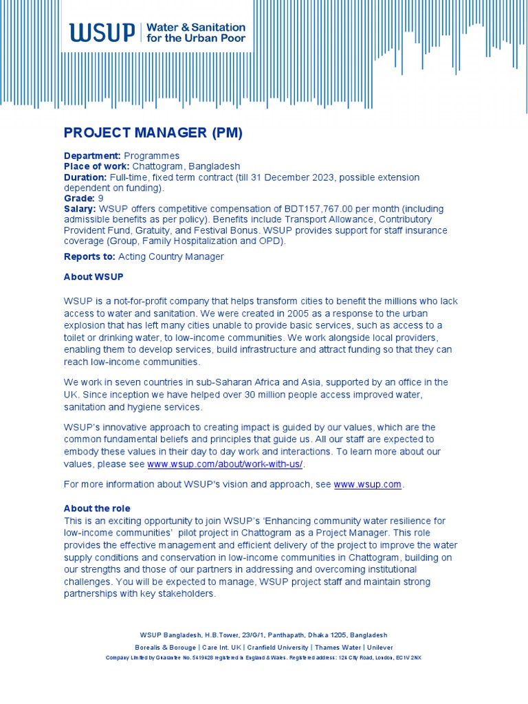JD Project Manager 1 1 | PDF | Wash | Project Management