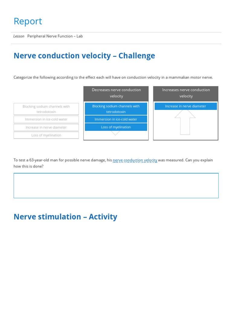 Peripheral Nerve Function - Lab | PDF