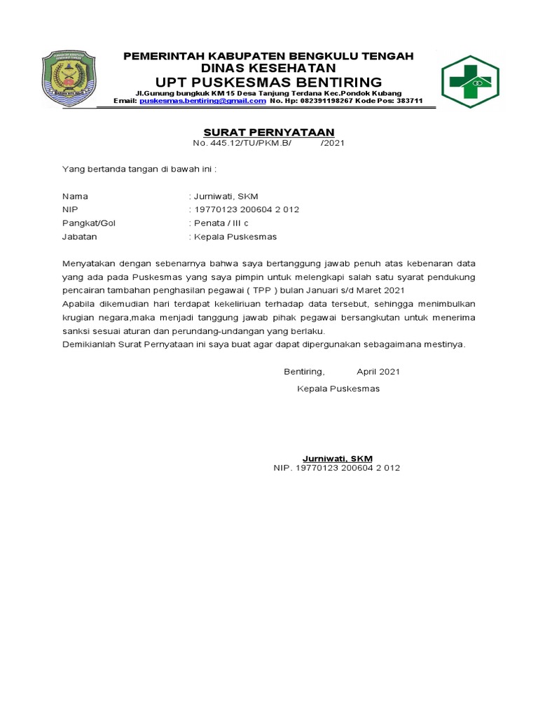 Surat Pernyataan TPP | PDF