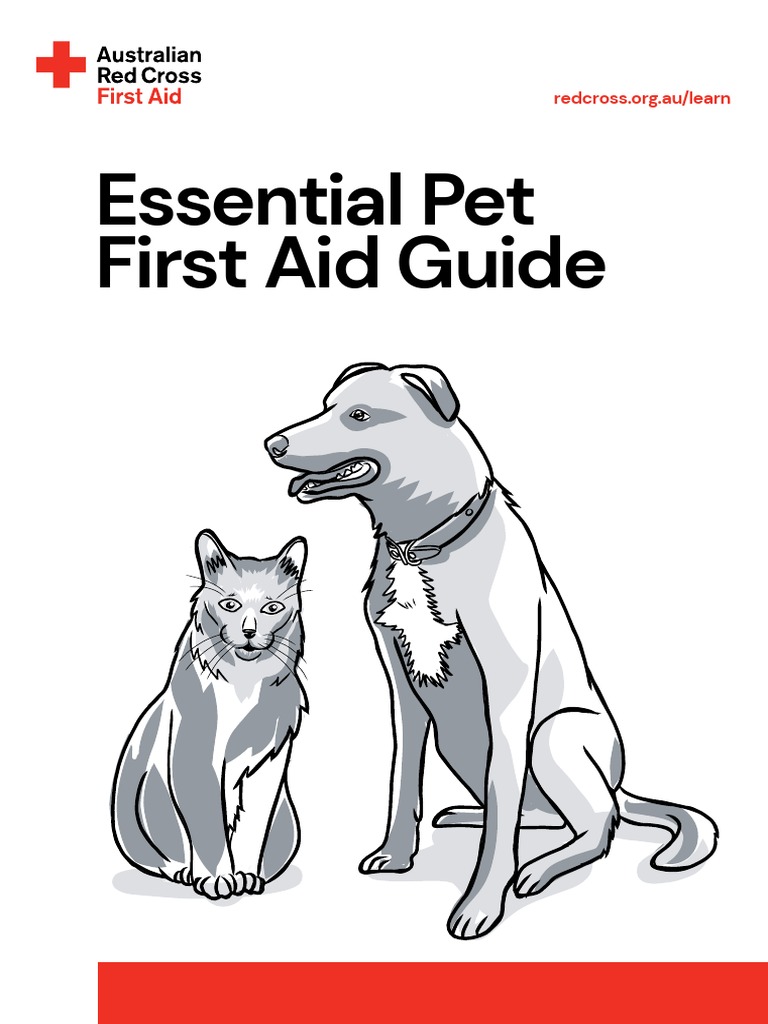 Essential Pet First Aid Guide 2022 | PDF