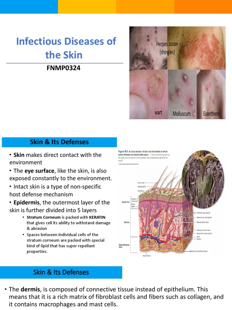 Skin Diseases | PDF