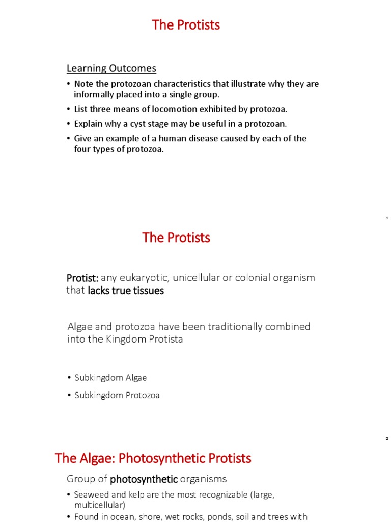 TOPIC 5 Algae, Protozoa, Helminths | PDF