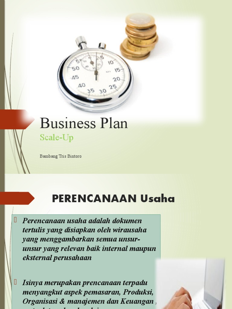 Bin - Perencanaan Usaha - Scale Up | PDF