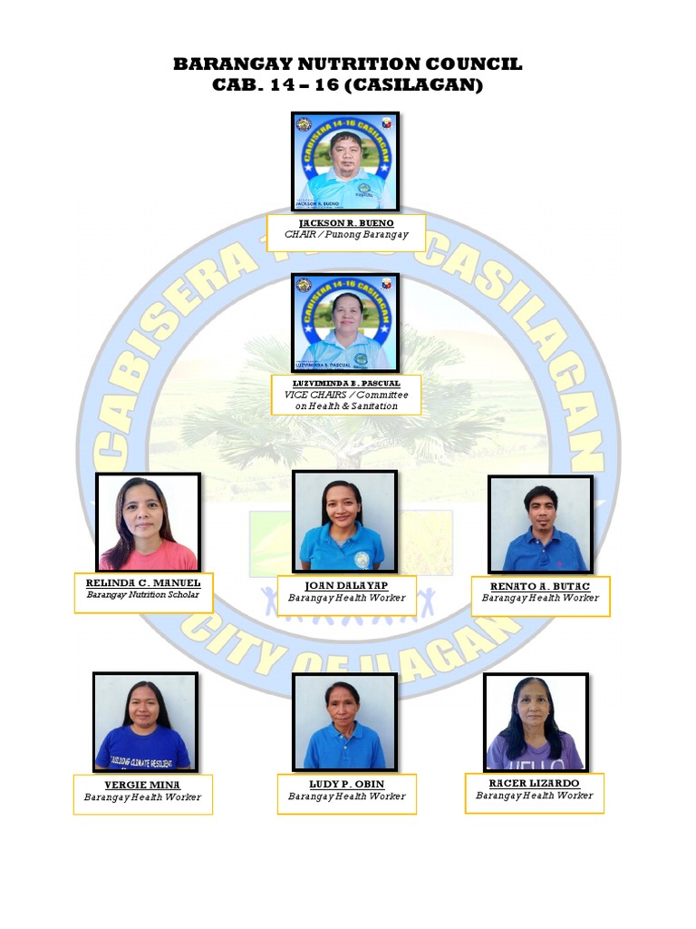 Barangay Nutrition Council Org | PDF