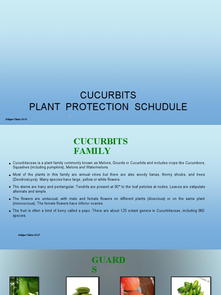 Cucurbits Training Module | PDF