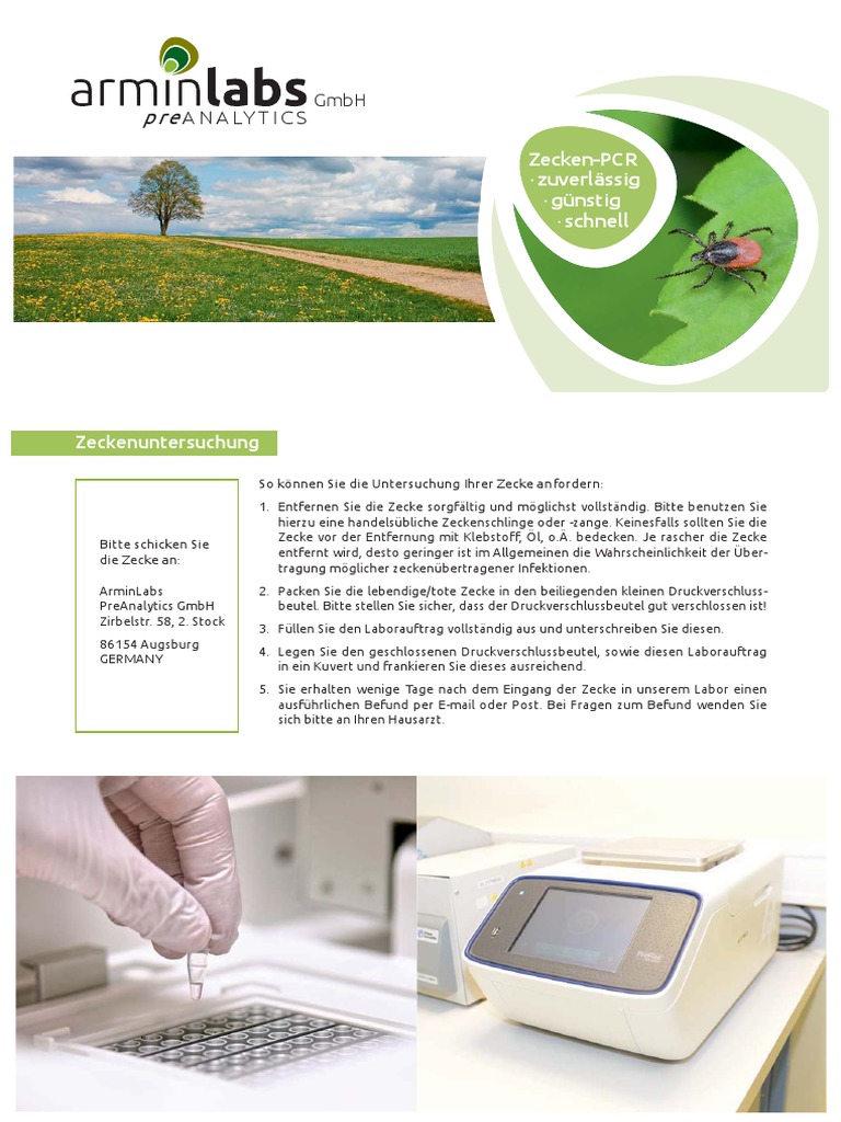 Zecken PCR Laborauftrag Borreliose Koinfektionen Arminlabs - de | PDF