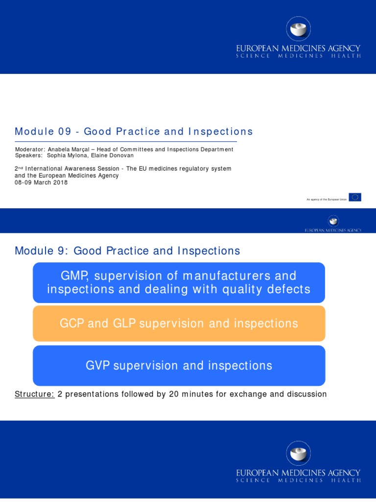 Presentation Module 9 Good Practice Inspections en | PDF ...