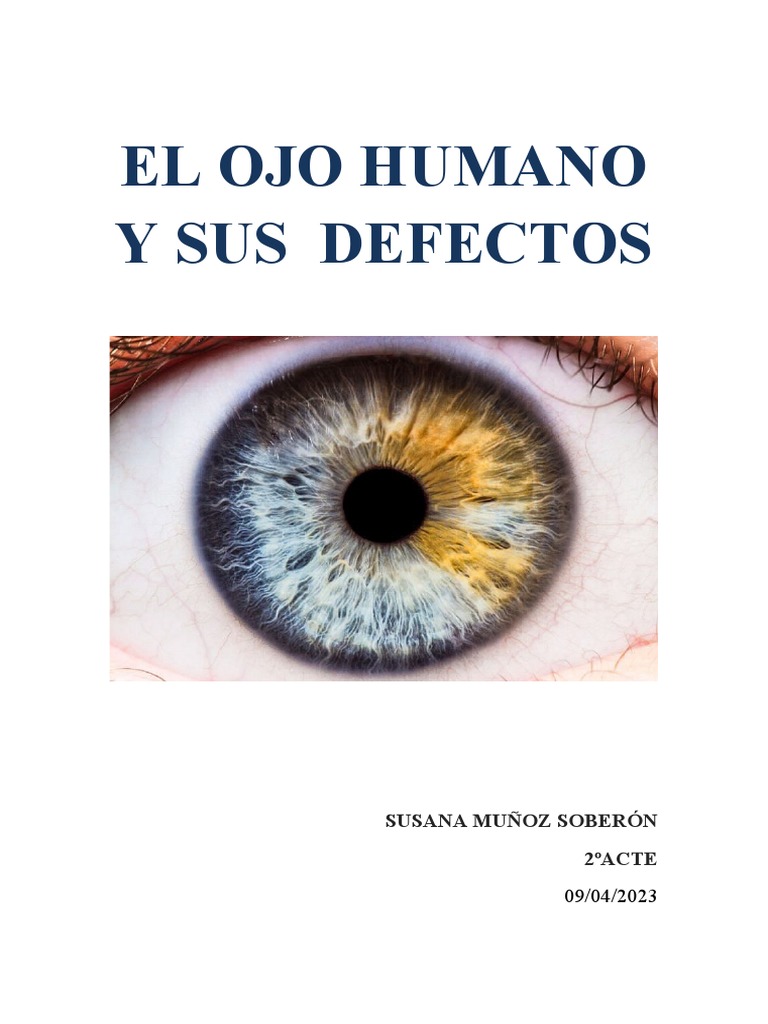 Ojo Humano: Partes y Defectos Visuales | PDF