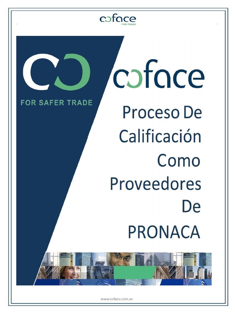 Guia de Calificacion para Pymes Empresa | PDF