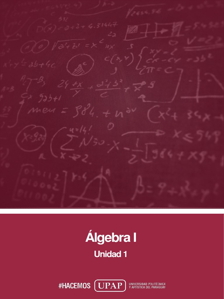 Unidad 1 - Algebra I | PDF