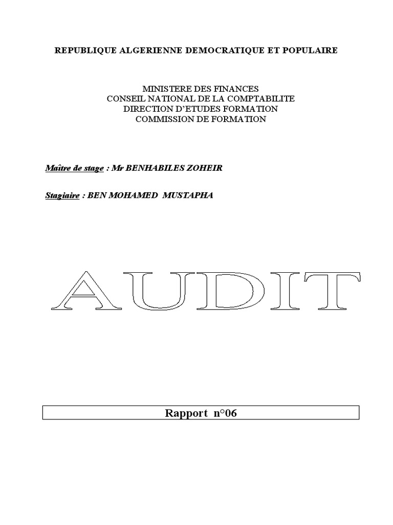 Rapport 6 Audit | PDF | Audit | Comptabilité