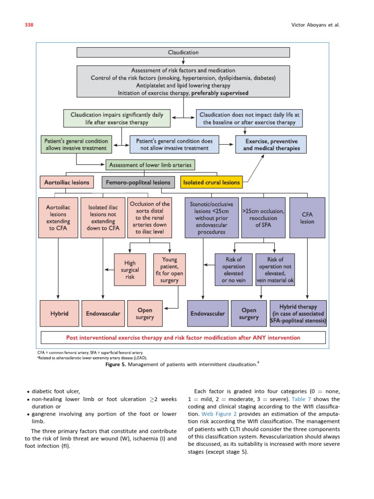 Claudication MX Algorithm | PDF