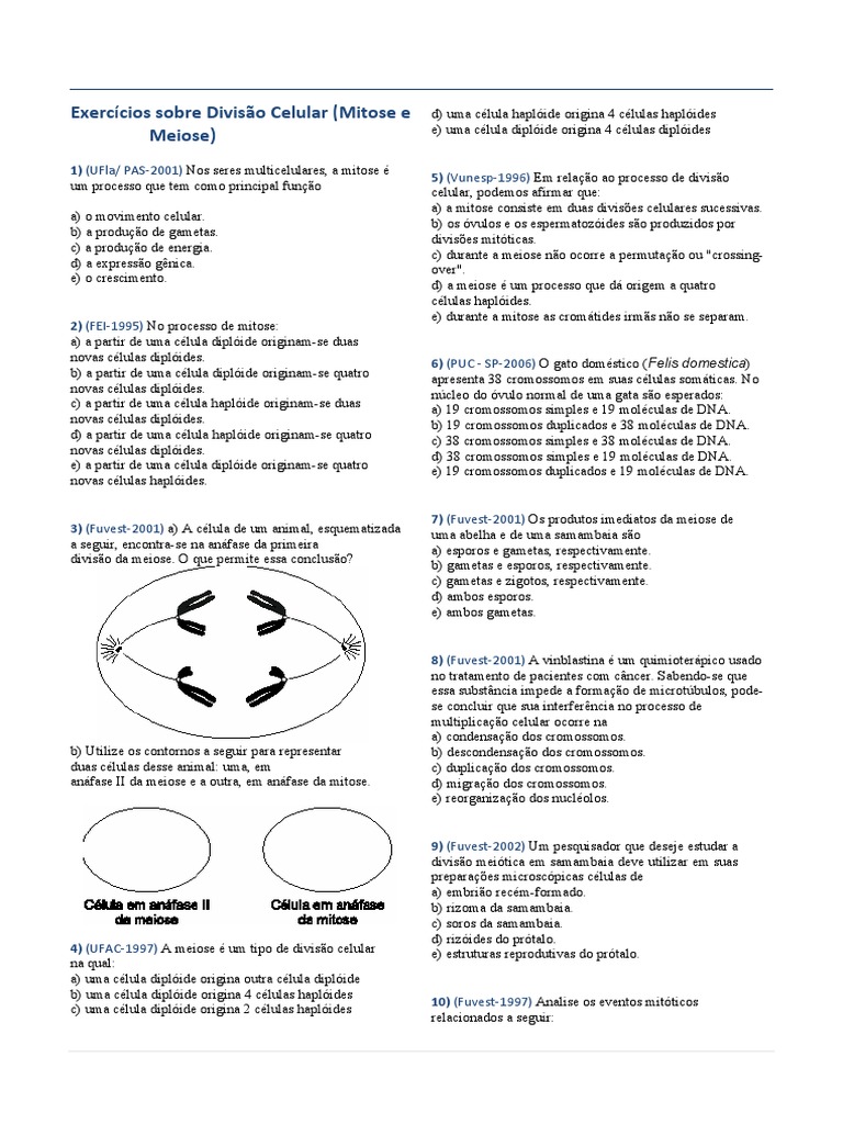 Mitose E Meiose Aula Extra Download Grátis Pdf Meiose Mitose