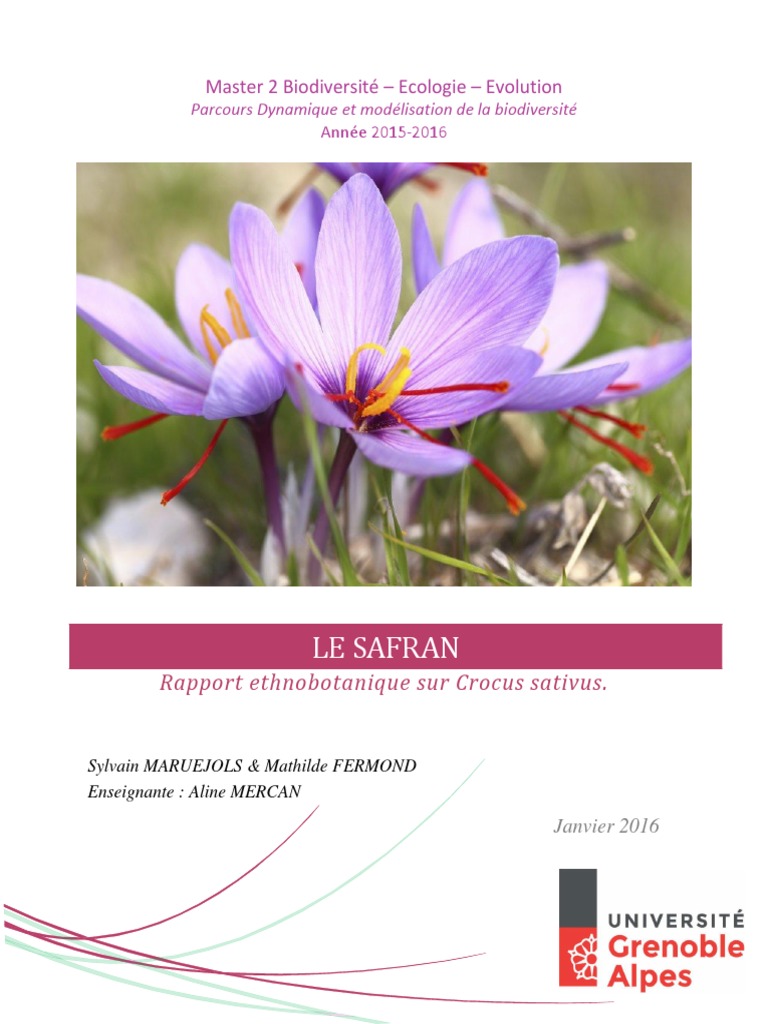 Culture et histoire du safran | PDF