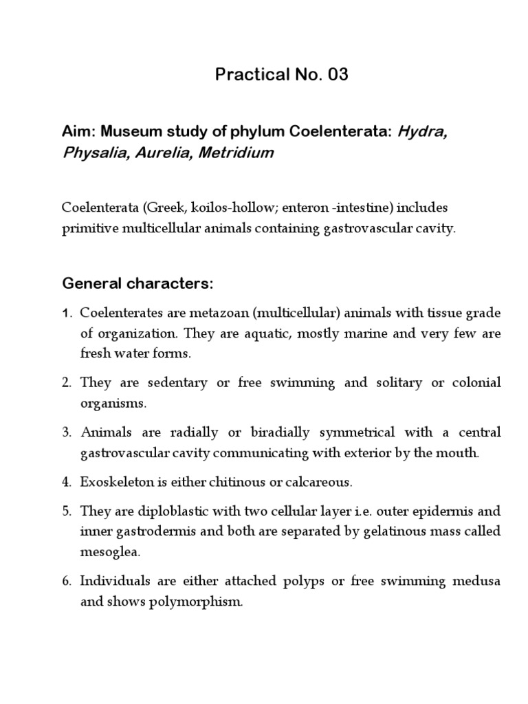 Practical No 3 FYBSc. | PDF Practical No 3 FYBSc. | PDF