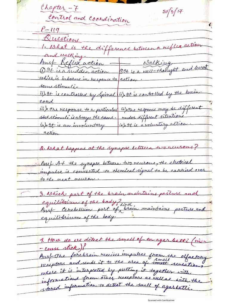 Comtrol and Coordination | PDF