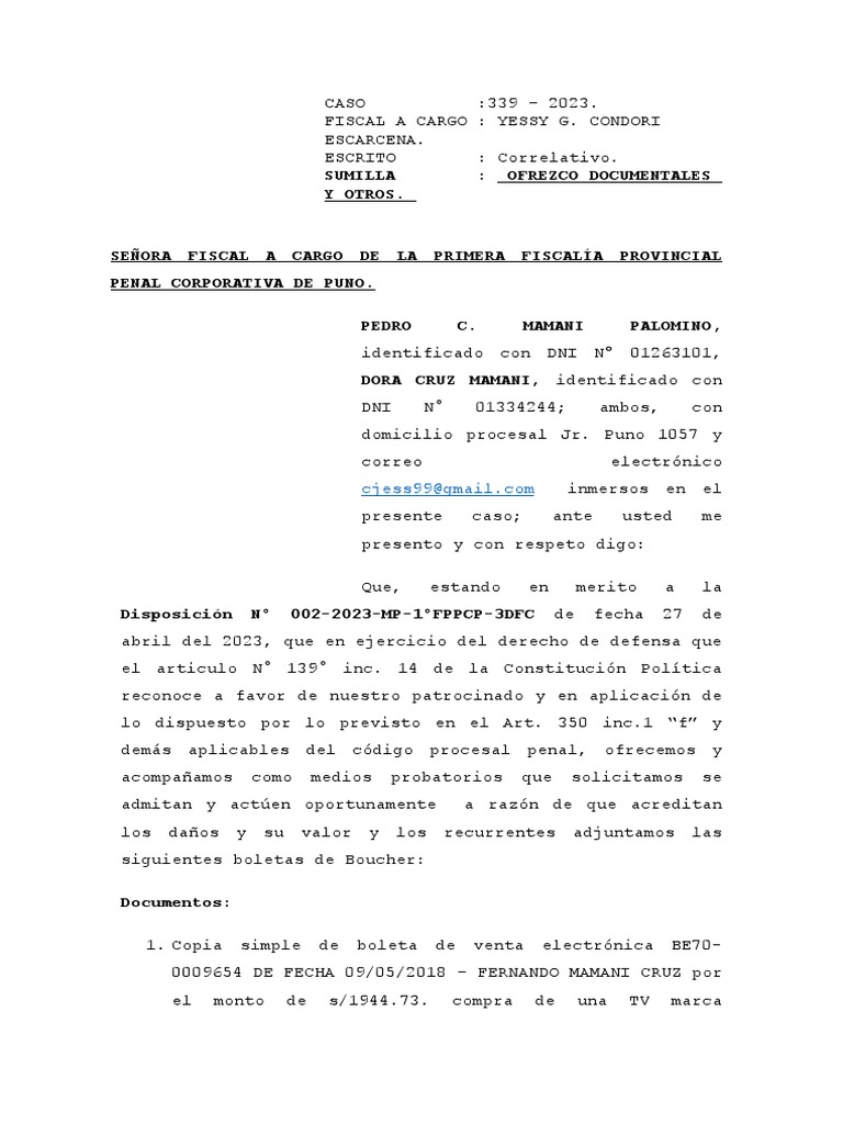 CASO Dora Cruz | PDF | Justicia | Crimen y violencia