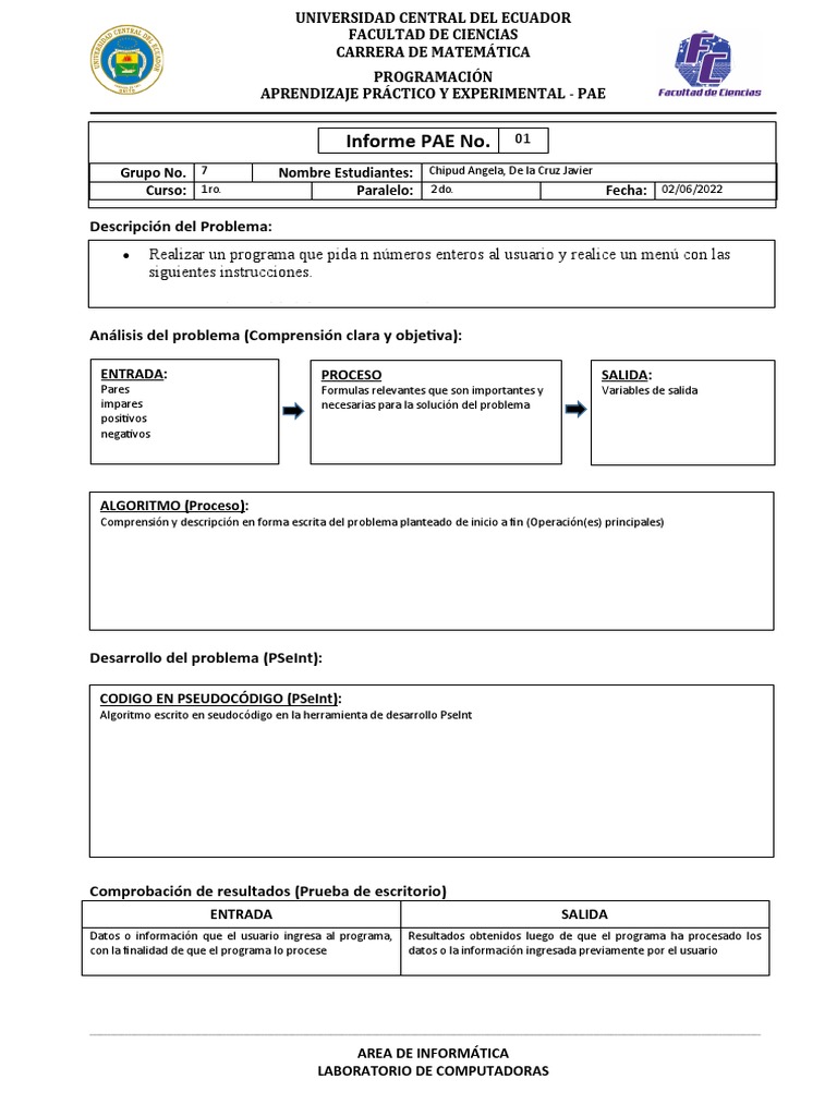 P Formato De Informe Pae Pdf