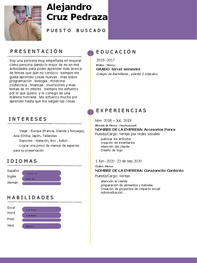 85 Curriculum Vitae Espanol | PDF