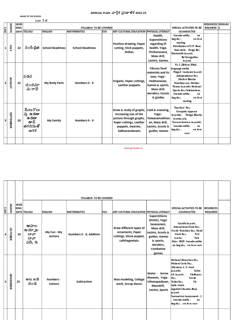 1st Annual Plan | PDF