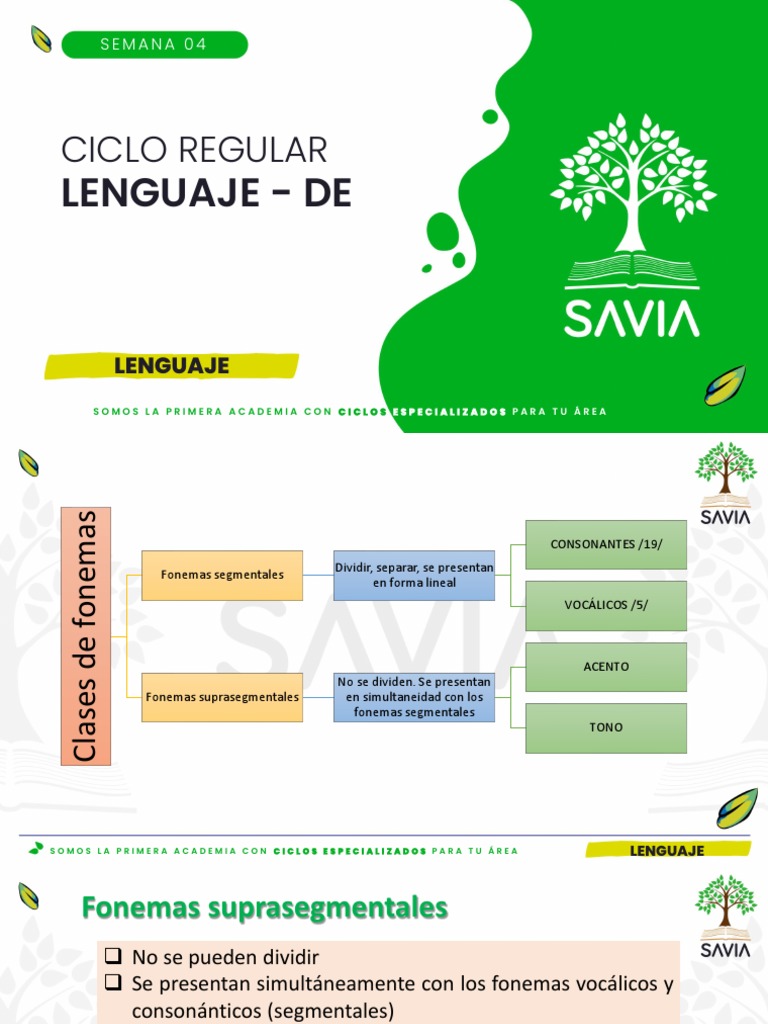 Leng-Sem 4 | PDF | Sílaba | Palabra