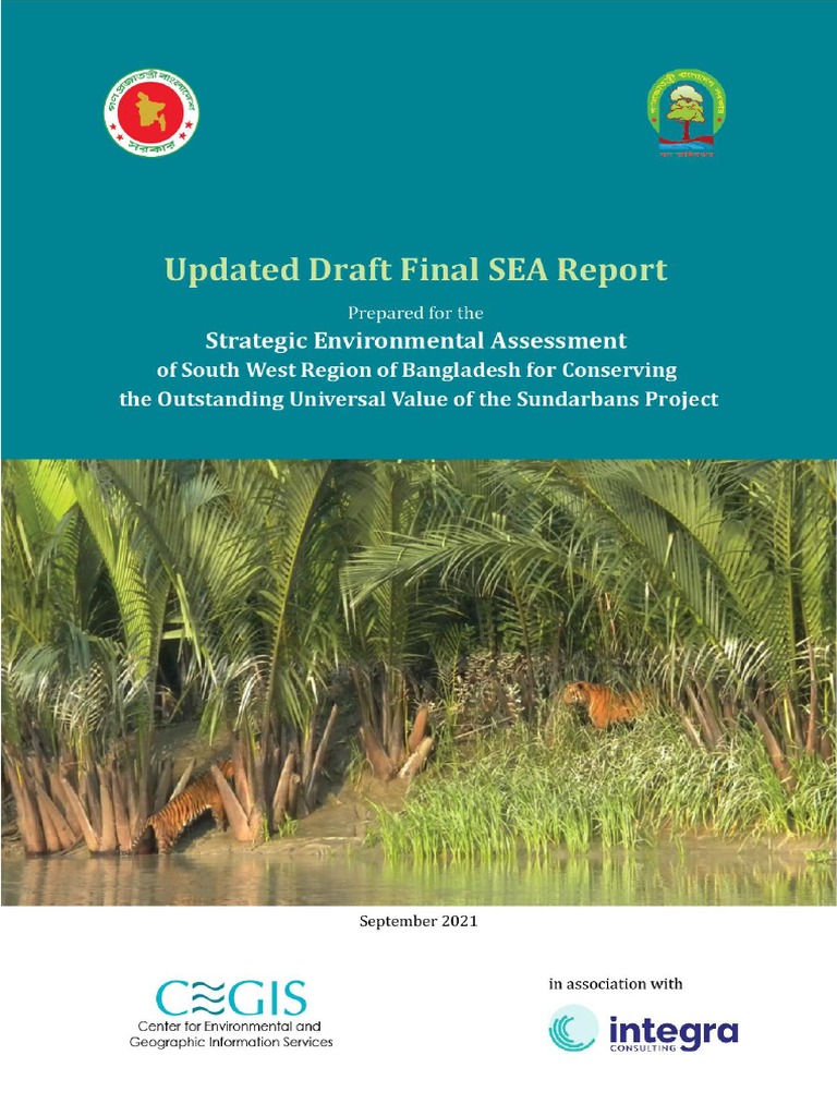 Updated Draft Final SEA Report CEGIS Integra | PDF | Air Pollution | Environmental Degradation
