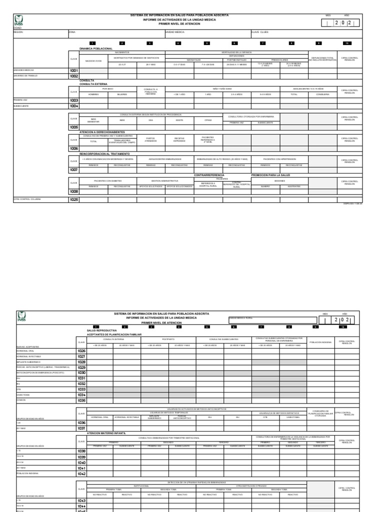 Formato Sispa - SS - I 2022 1er Nivel | PDF